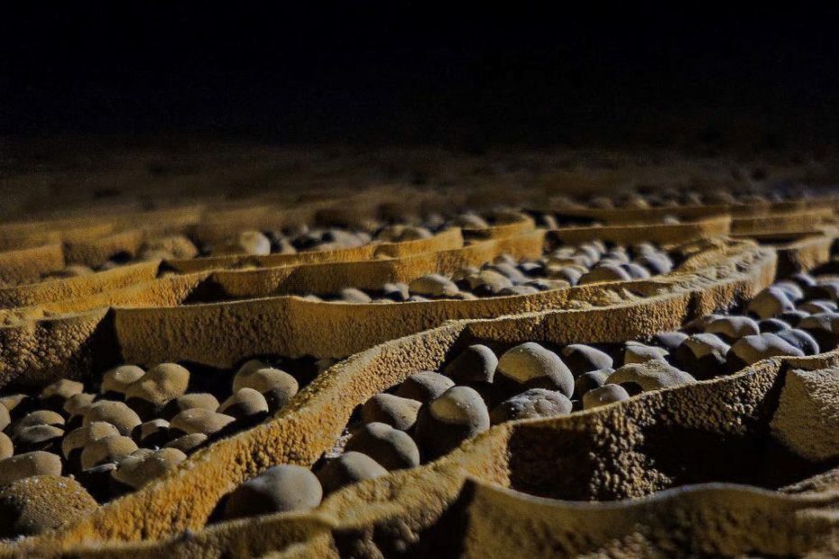 Son Doong Cave: Inside the World's Largest Cave - tourinDanang